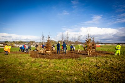 Limerick Polymers Production – LPP is a family-owned Irish company that ...